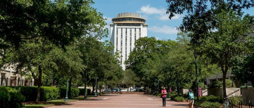 Top of Carolina - Carolina Food Co. | University of South Carolina