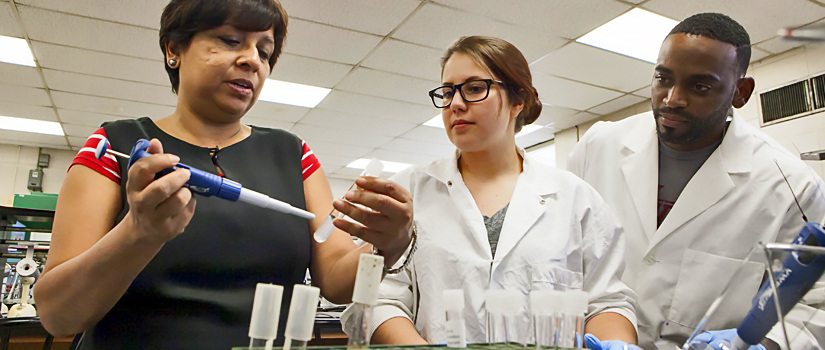 Study - USC Sumter | University of South Carolina