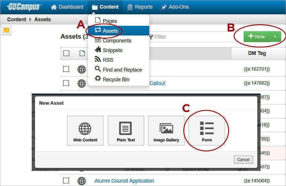 Form Assets - CMS Training | University of South Carolina