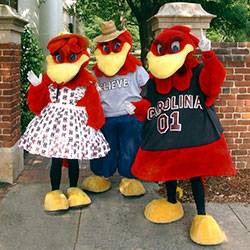 Parents and Families Gateway | University of South Carolina