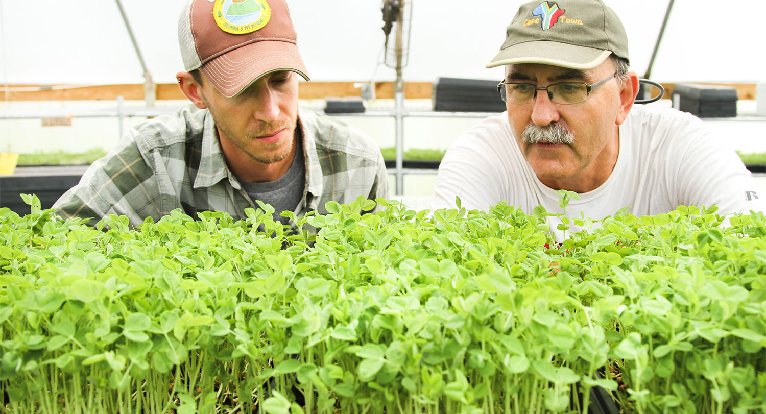 Environmental Health Sciences, M.P.H. | University of South Carolina