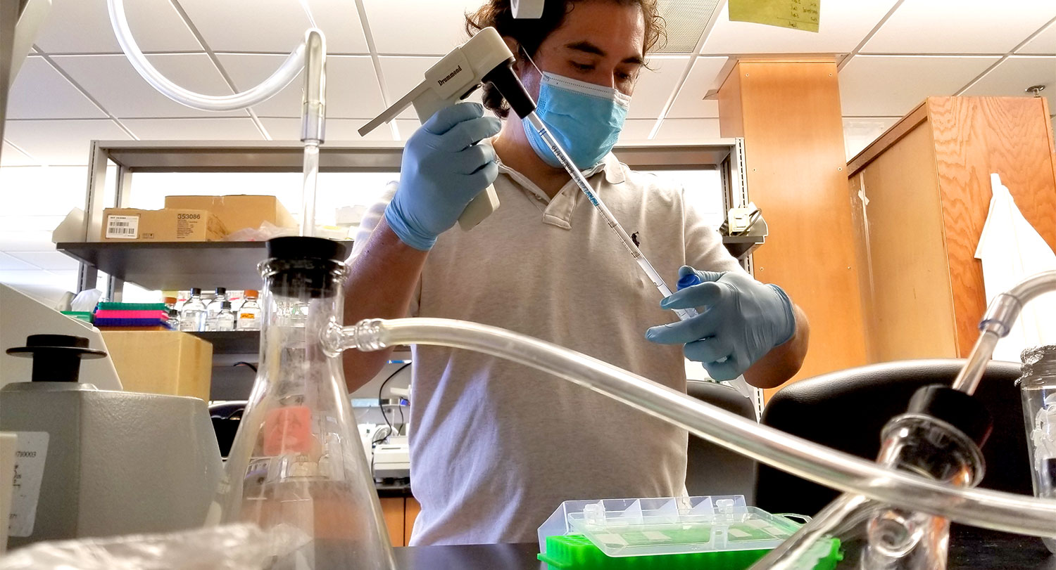 Biological Sciences, Ph.D. | University of South Carolina