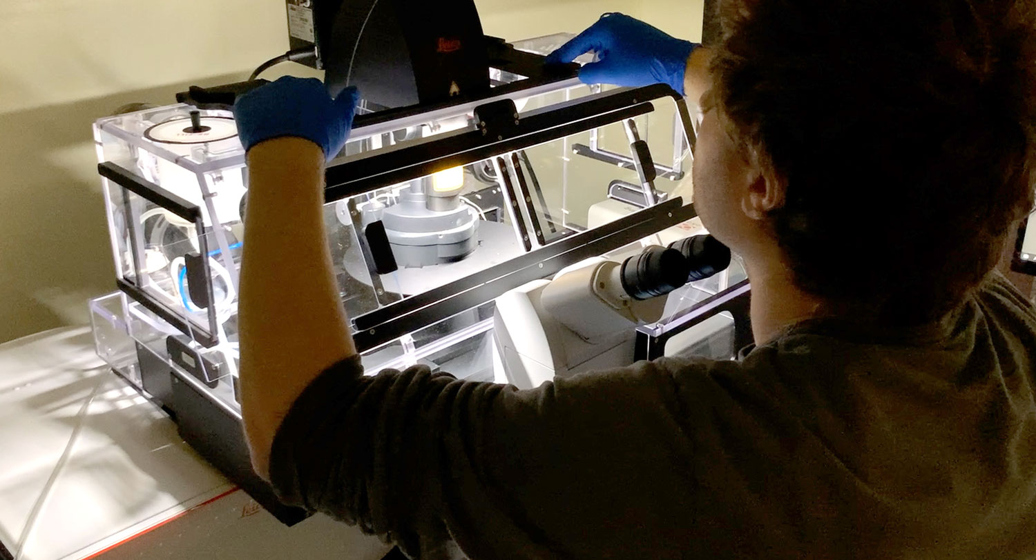 Biological Sciences, M.S. | University of South Carolina