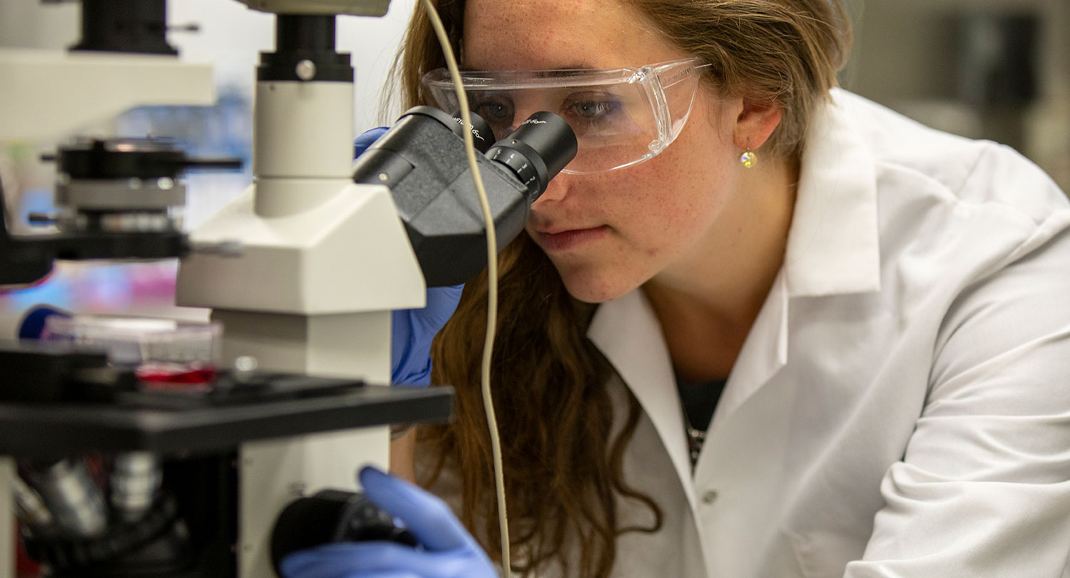 Biomedical Engineering, M.S. | University of South Carolina