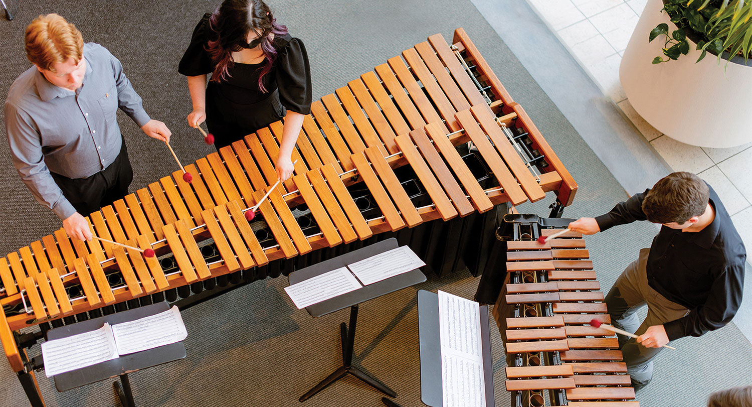 Performance: Music, B.M. | University of South Carolina