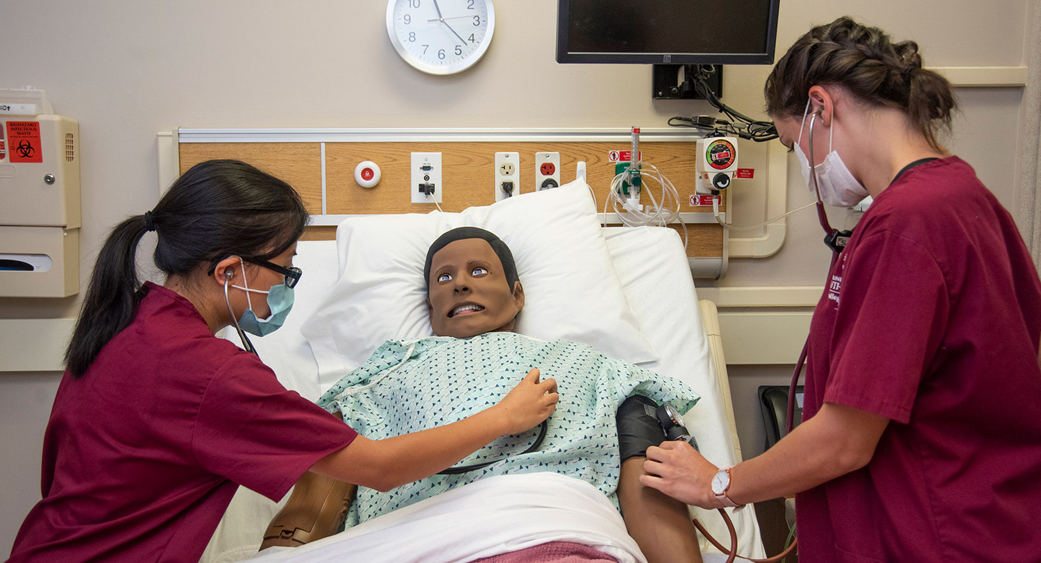 Nursing, B.S.N. | University of South Carolina