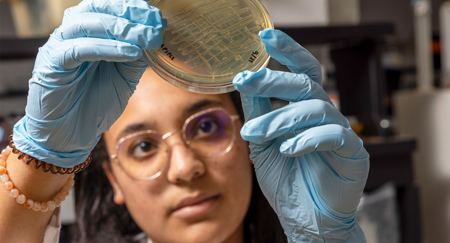 Pharmaceutical Sciences, Ph.D. | University of South Carolina