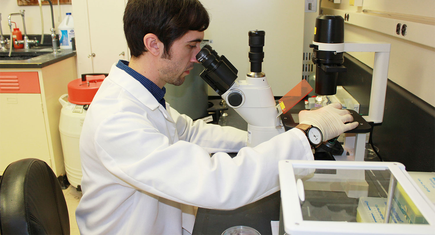 Biomedical Sciences, M.S. | University of South Carolina