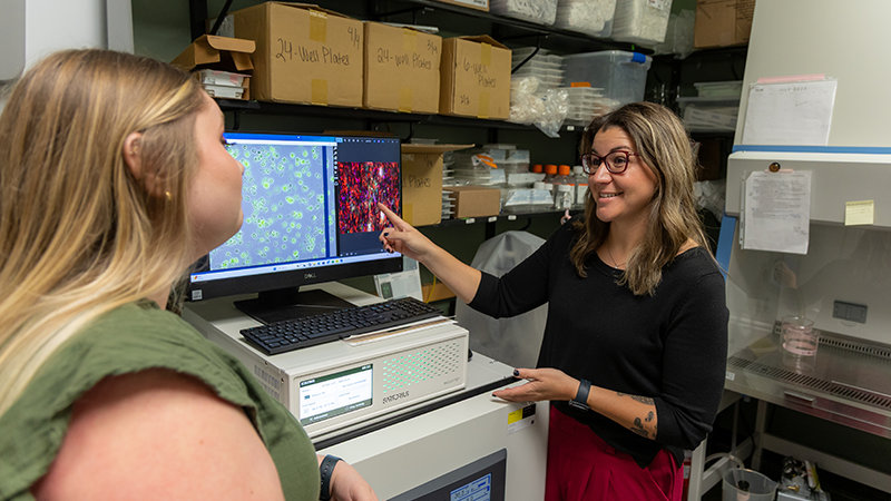 Double duty: USC scientists discover that SARM1 protein helps rebuild ...