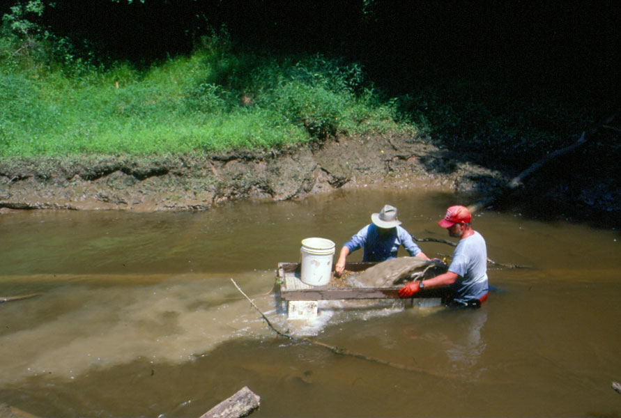 Mulberry Mound - SC Institute for Archaeology and Anthropology ...