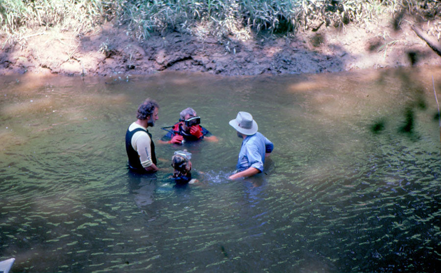 Mulberry Mound - SC Institute for Archaeology and Anthropology ...