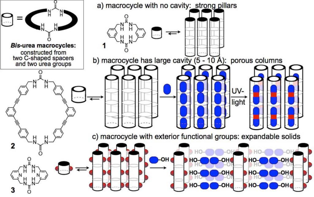 Linda S. Shimizu - Department of Chemistry and Biochemistry ...