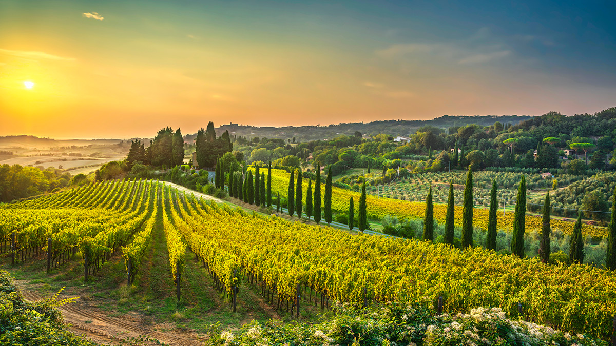Exploring Italy: Food, Wine & Culture • September 15-23, 2023 - College ...
