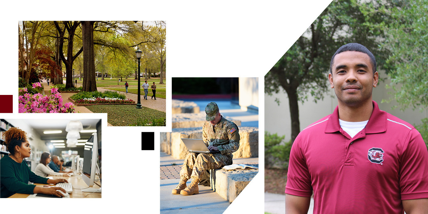 New online option for interdisciplinary studies degree at UofSC ...