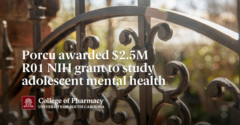 Porcu awarded $2.5M R01 NIH grant to study adolescent mental health ...