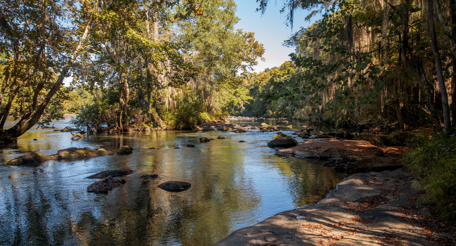 Out and About - UofSC News & Events | University of South Carolina