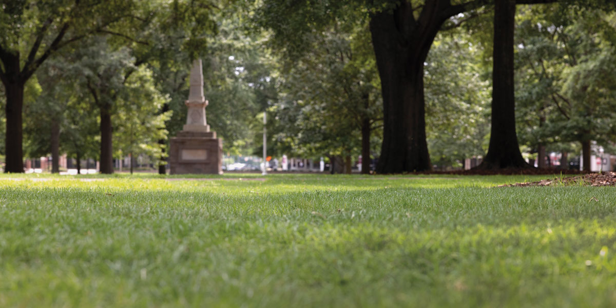 Where the grass is always greener - USC News & Events | University of ...