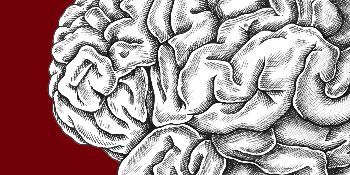 New Brain Health Network, Brain Health Center address need for better ...