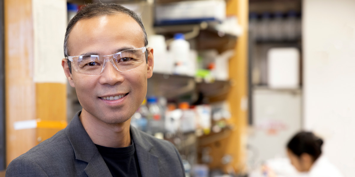 Carolina Trustees Professorship teaching award winner: Qian Wang - USC News & Events ...